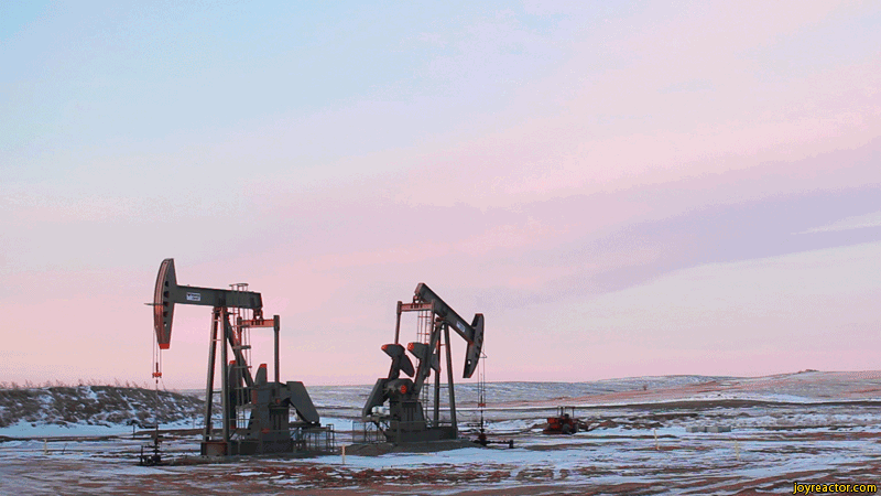 CSi Measurement - HOME